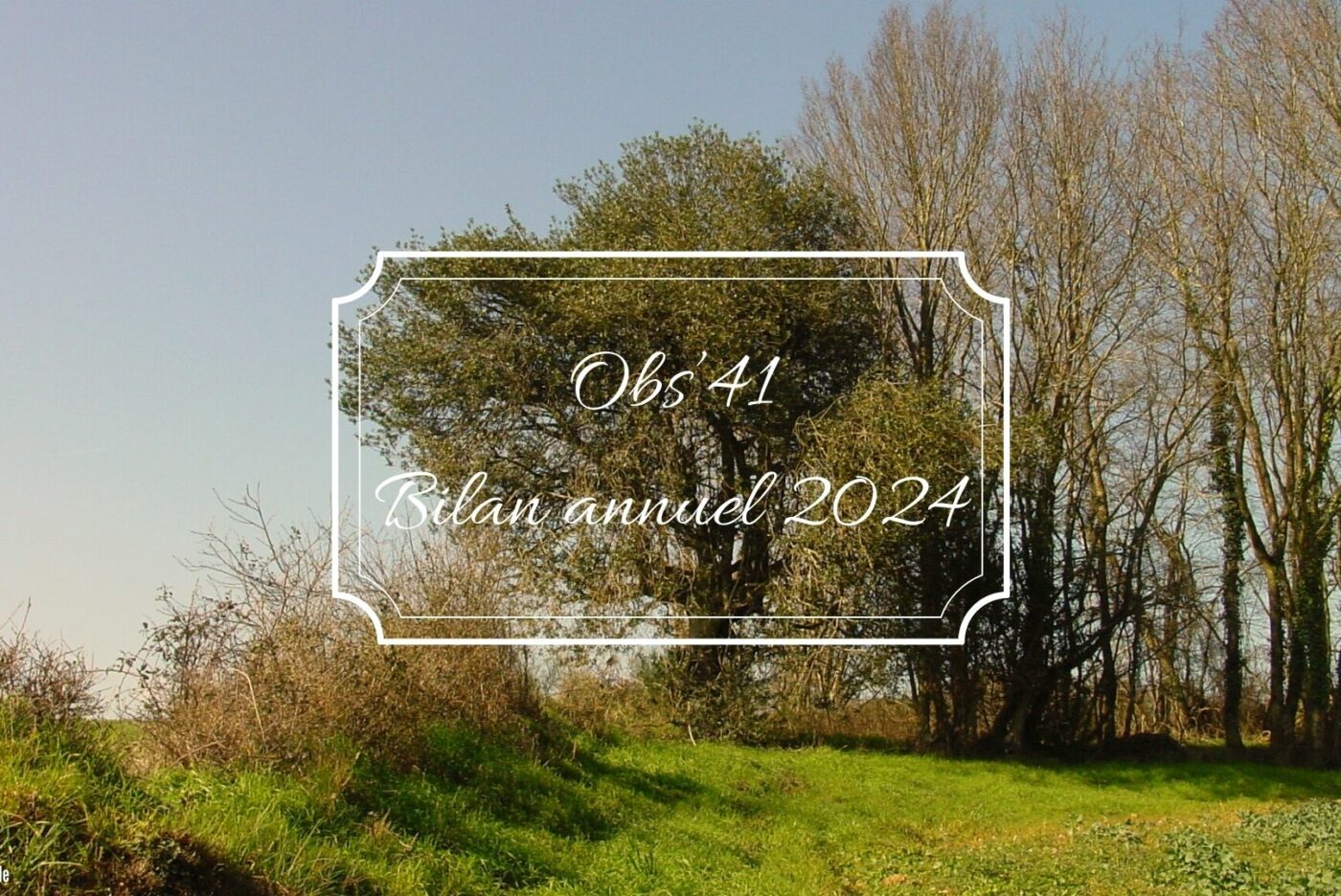 Bilan 2024 Obs'41 ! - Perche Nature - Perche et Vallée du Loir
